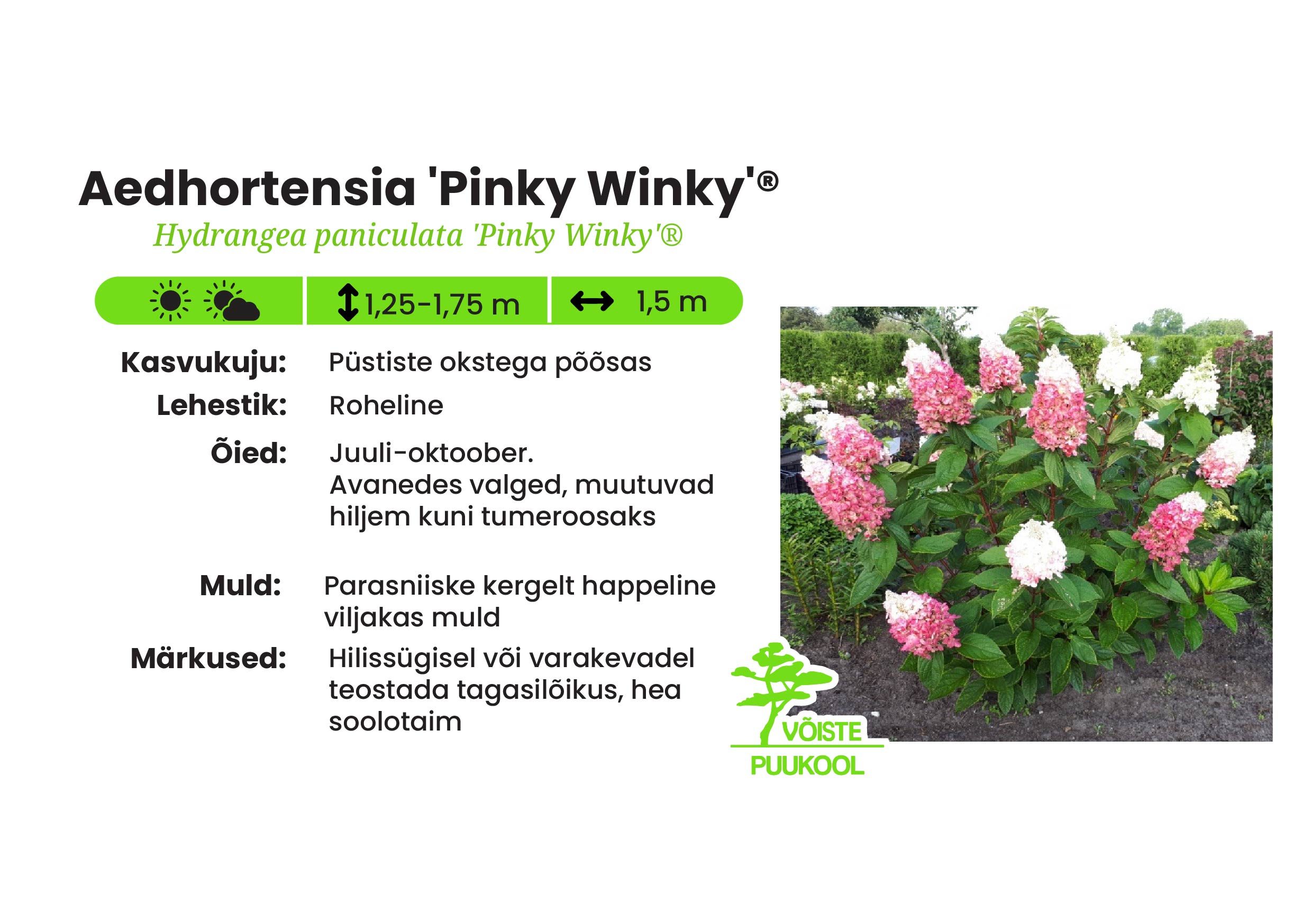 Aedhortensia Pinky Winky - Võiste Puukool